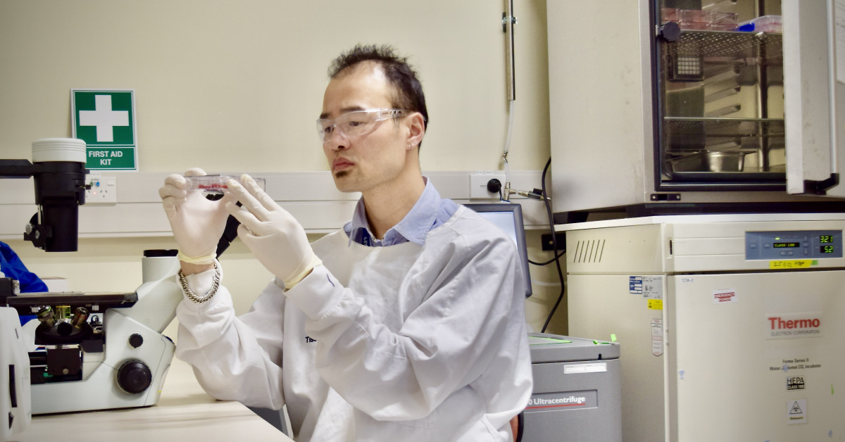 Cancer Society NZ — Determine the effect of isoforms on the anti-tumour ...