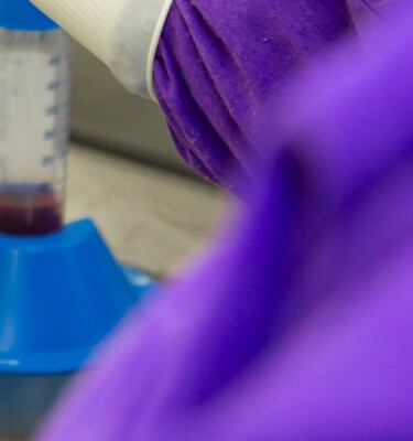 Cancer Society NZ — Support groundbreaking cancer research