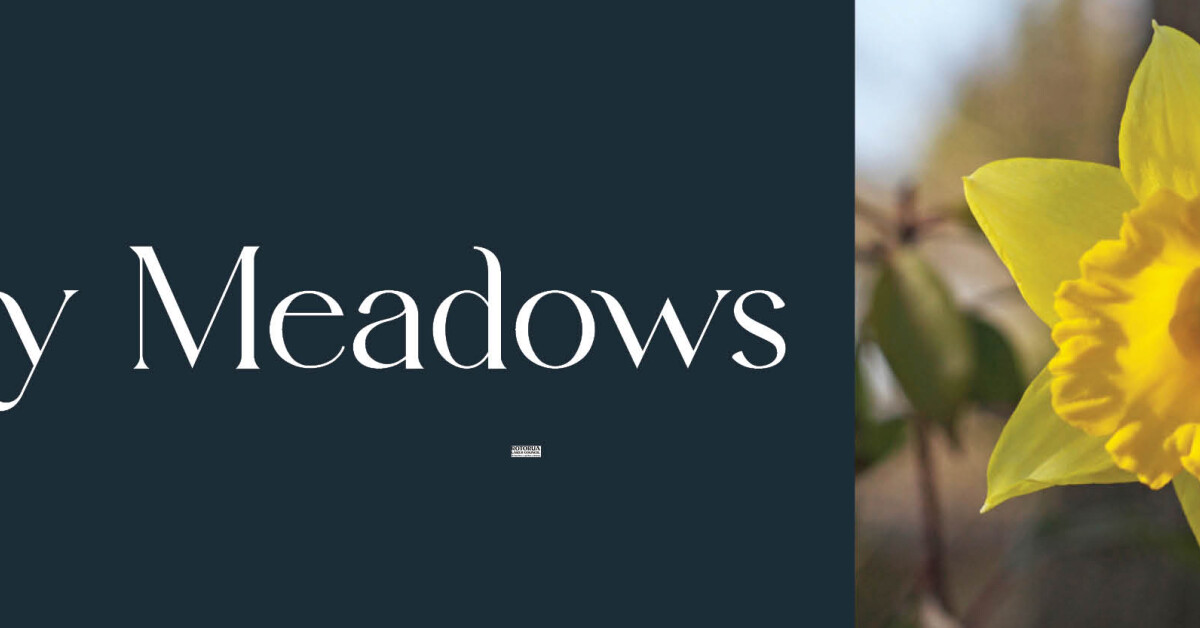 Cancer Society NZ — Donate a bulb to grow help and hope.